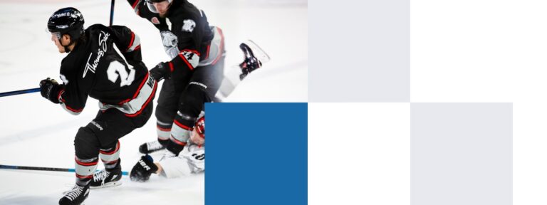 Board of Directors - Concussion in Sport Group (CISG)